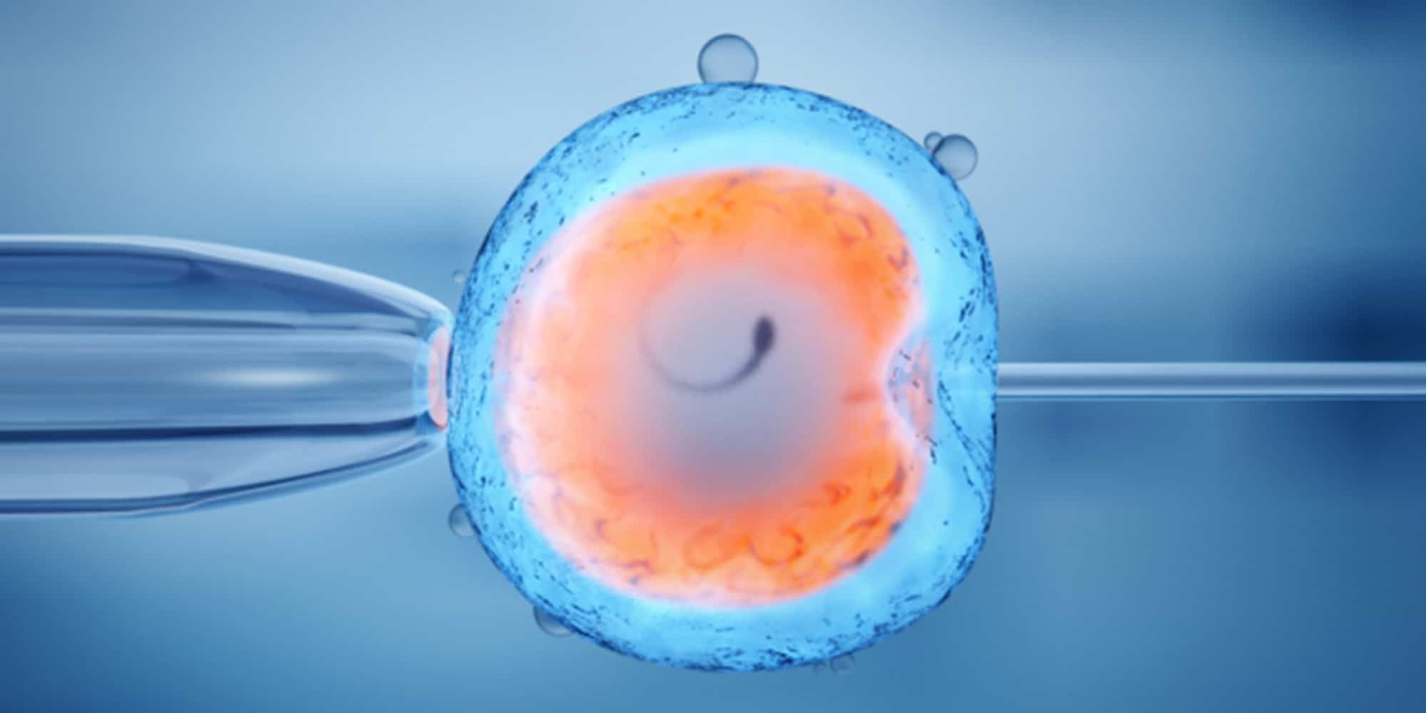 Como saber se a inseminação artificial é indicada para mim?