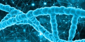 DNA: saiba as suas principais características e funções