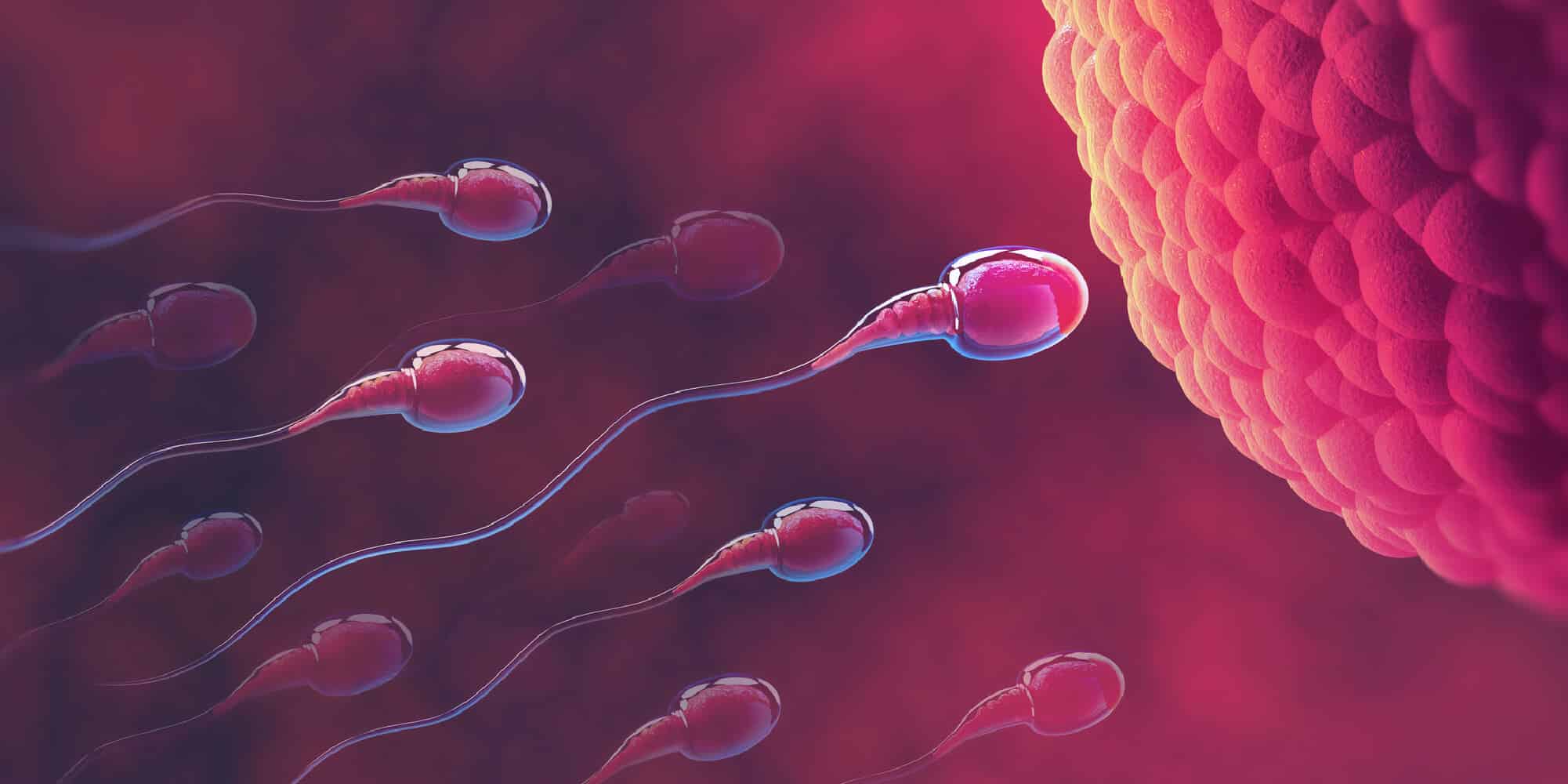 Inseminação artificial: como saber se é indicada para mim?